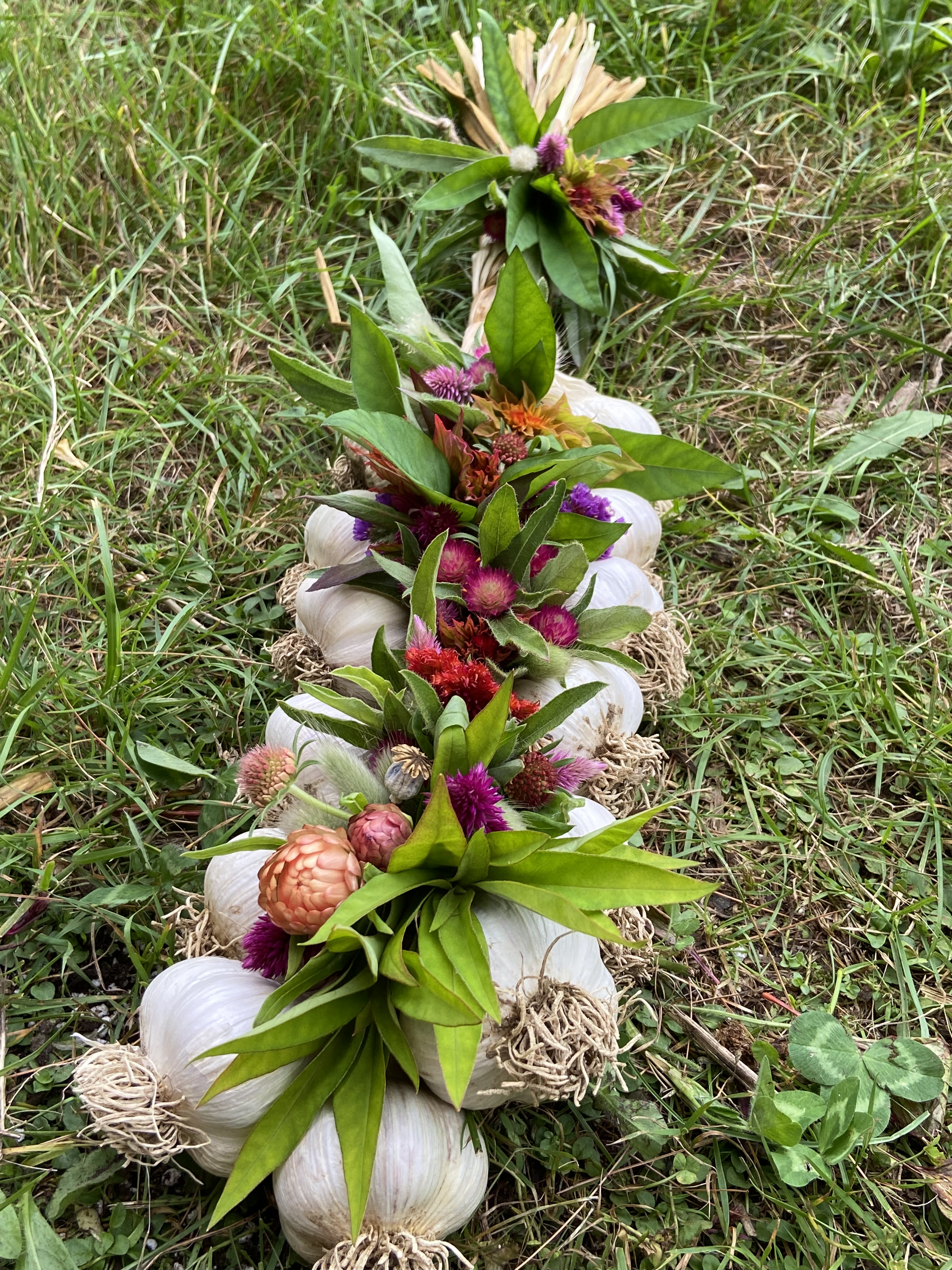 Garlic Braiding Workshop – Clare Pearson