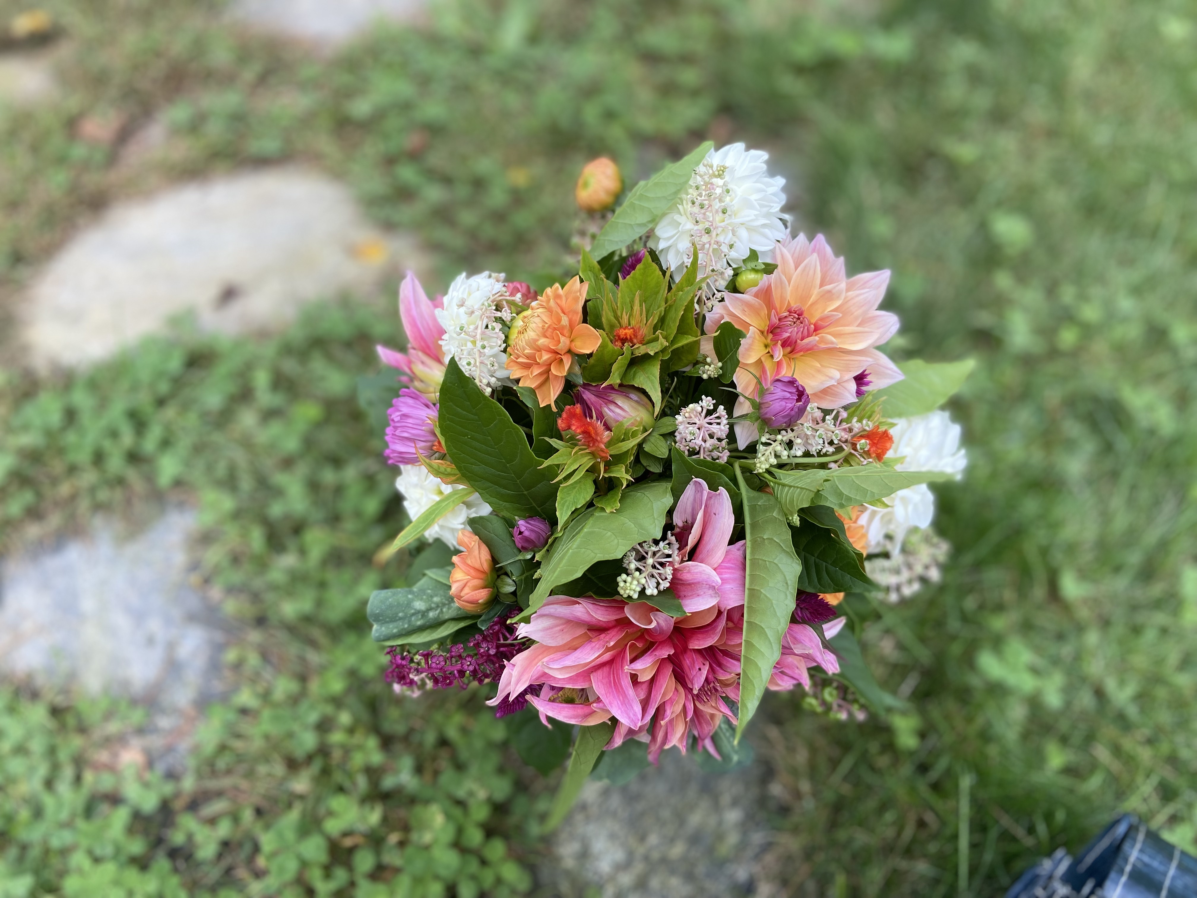 Flower Arranging – Clare Pearson